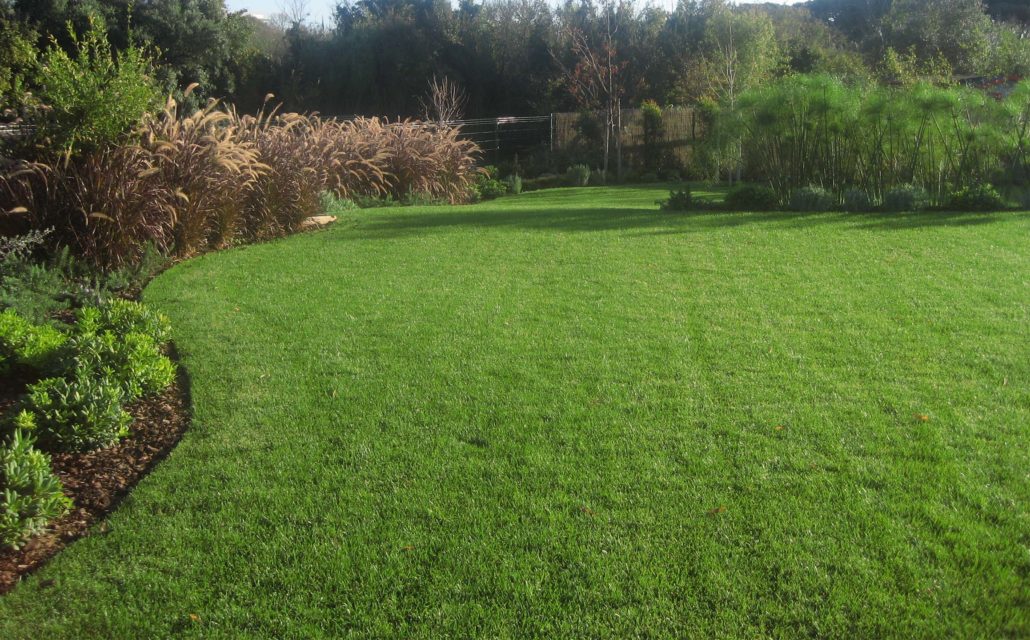 Construção de Jardins | Sograma jardins